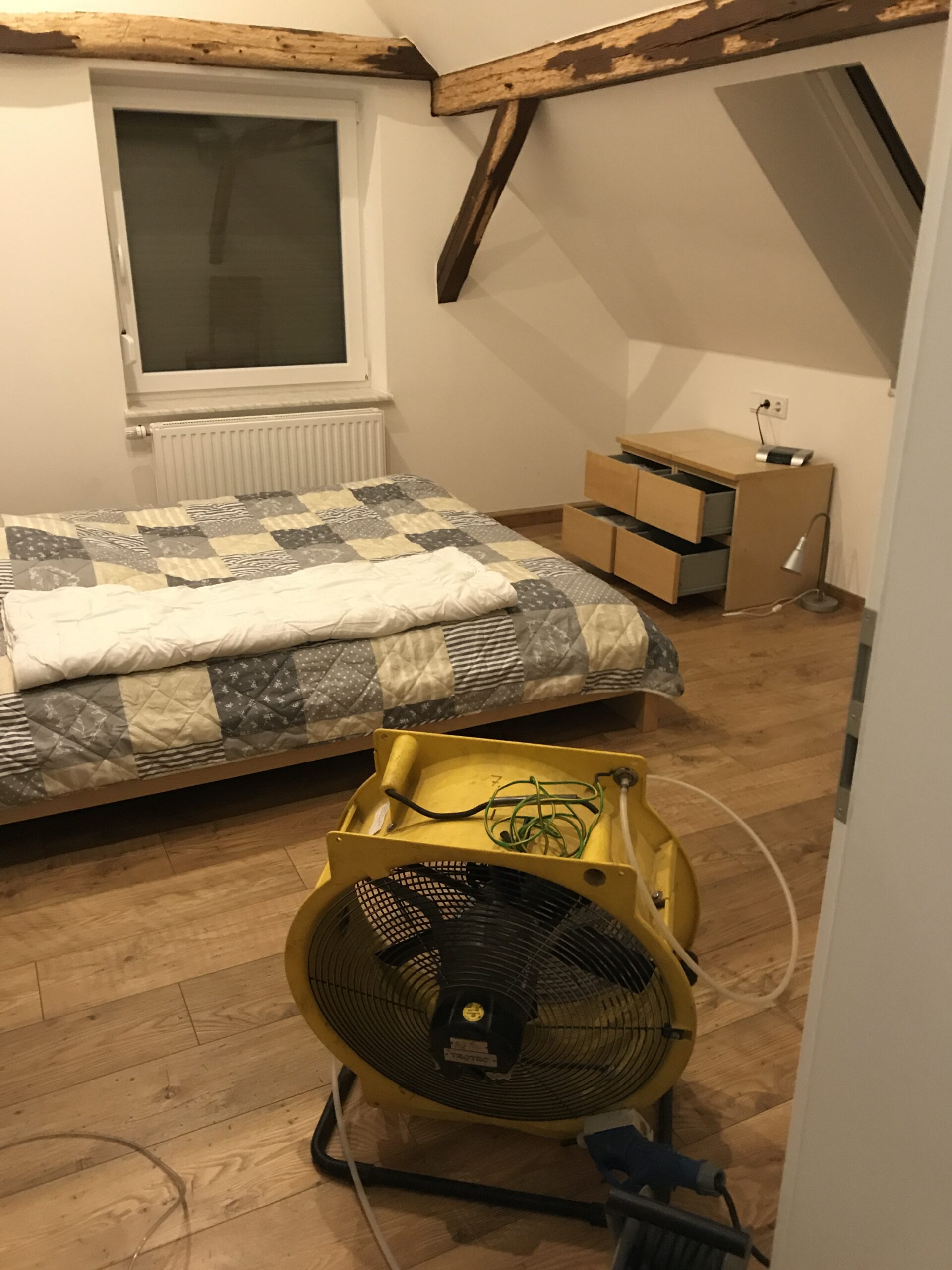 Was ist eine Innenraumbegasung mit Sulfurylfluorid? | Groli ...