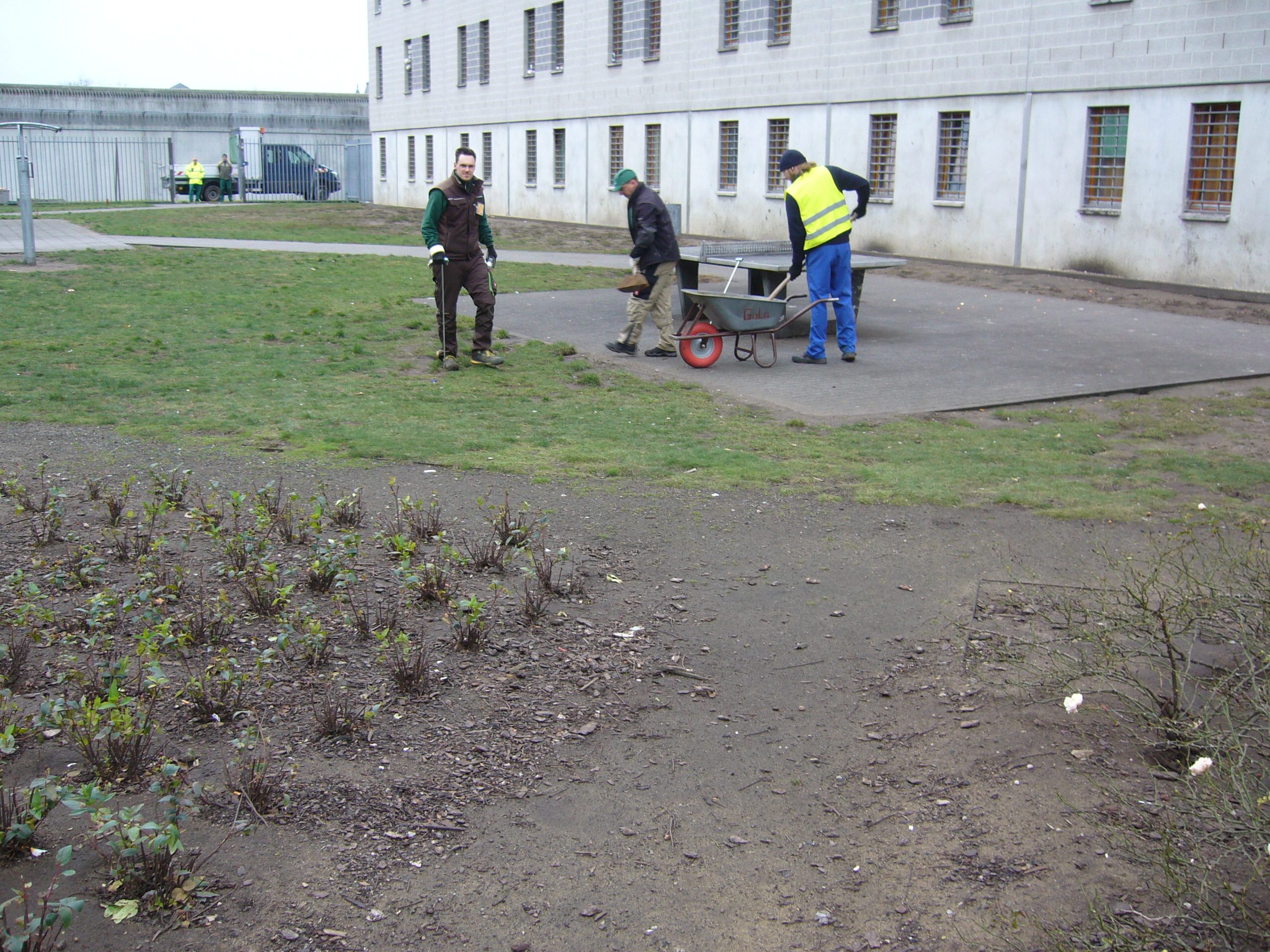 Der Einsatz von Schädlingsbekämpfern unter den besonderen Bedingungen ...