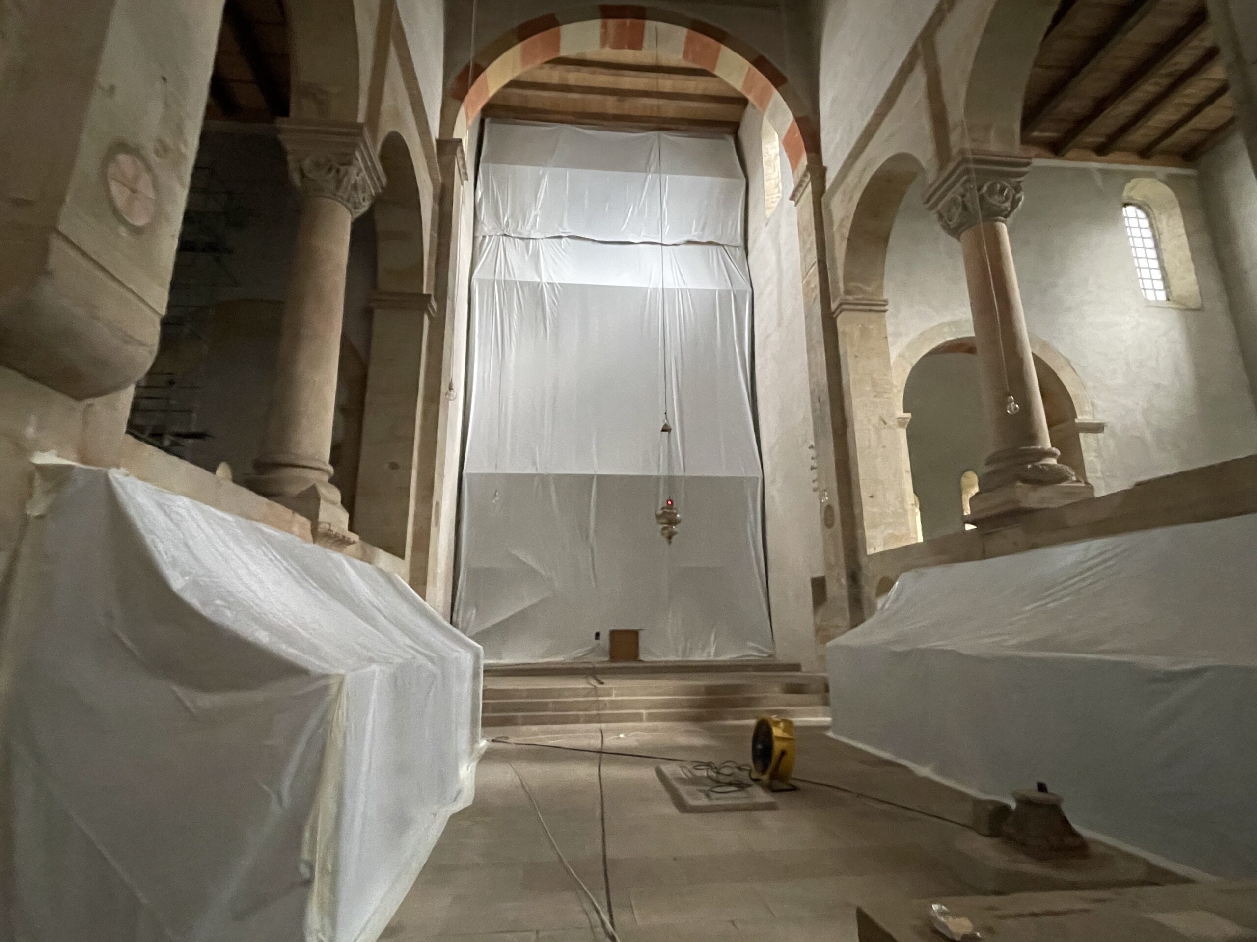 Holzwurm wird der Kampf angesagt | Groli Schädlingsbekämpfung